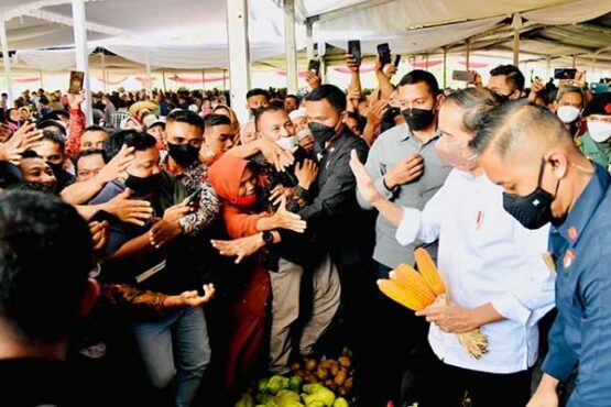 Hadiri Syukuran Hasil Bumi, Jokowi Ajak Petani Tanam Padi Hingga Porang ... Hadiri Syukuran Hasil Bumi, Jokowi Ajak Petani Tanam Padi Hingga Porang ...